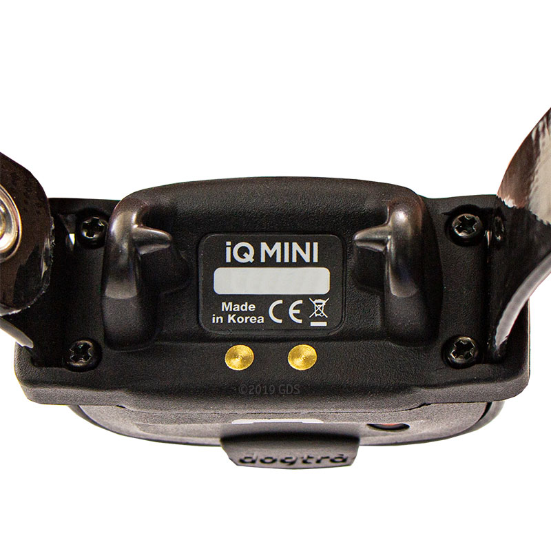 MOPIX - Dogtra iQ Mini Collar Probe Details.