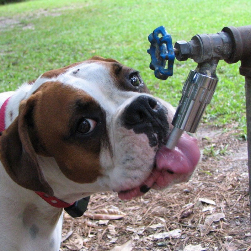 MOPIX - Lixit L-100 Model.