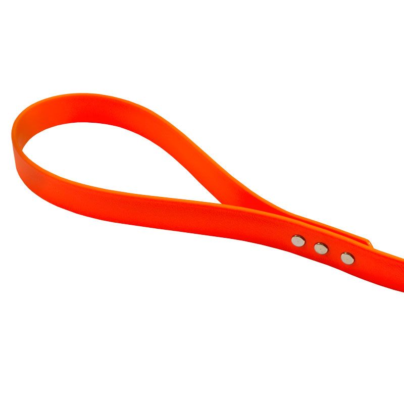 THE BIG DAWG 18 in. Biothane Traffic Lead | Gun Dog Supply