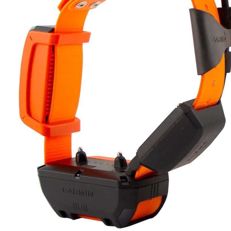 Garmin ALPHA LTE Cellular Dog Tracker | Gun Dog Supply
