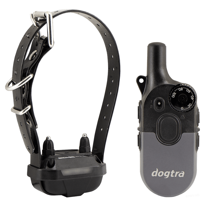 MOPIX - Dogtra 200iQ Transmitter and Collar.