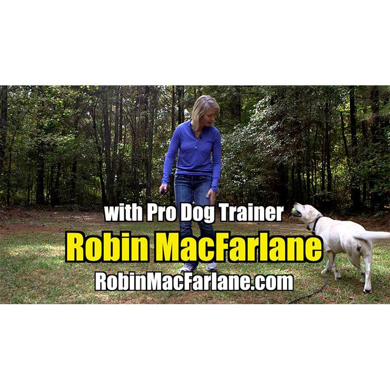 Basic Obedience Ecollar Training by Robin MacFarlane DVD -- Pro Dog ...