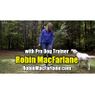 Basic Obedience Ecollar Training by Robin MacFarlane DVD -- Pro Dog ...