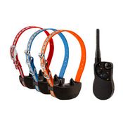 THREE DOG SportDOG Multi-dog Collars.