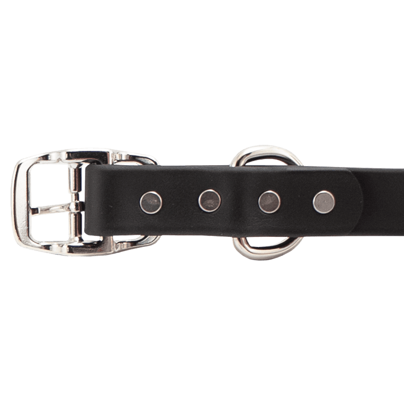 MOPIX - Super Heavy Biothane Standard Collar Buckle Detail.