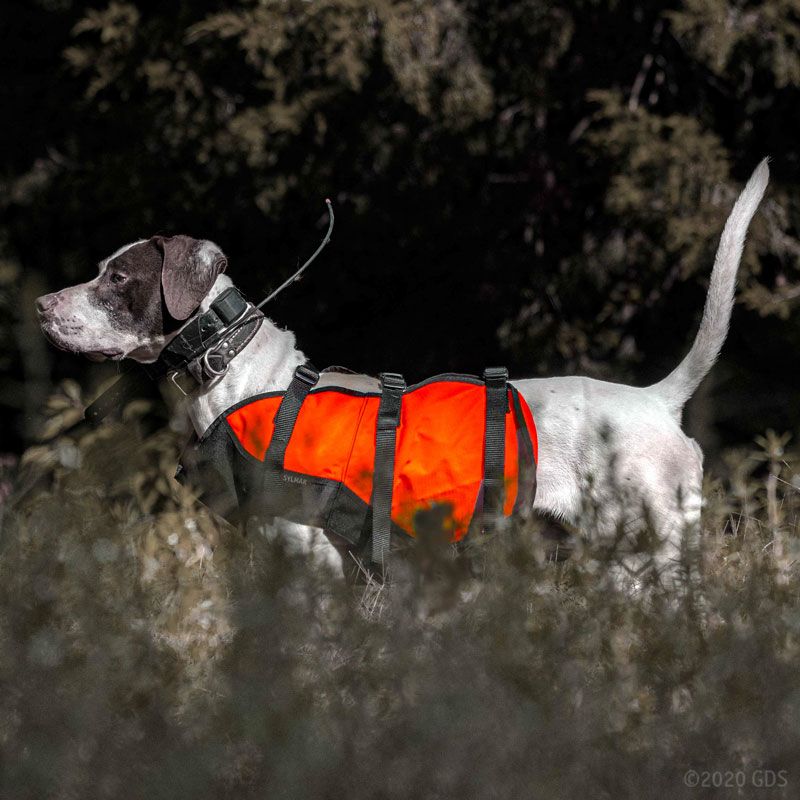 SYLMAR Body Guard Dog Vest -- ORANGE. $47.95.
