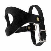 Bird Harnesses and Restraints for Quail, Pheasant, and Pigeon.