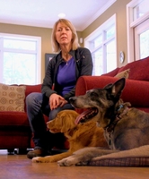 Robin MacFarlane Ecollar & Other Dog Training Videos.