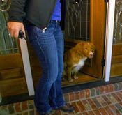 Pro Trainer Robin MacFarlane: How to Train Your Dog.