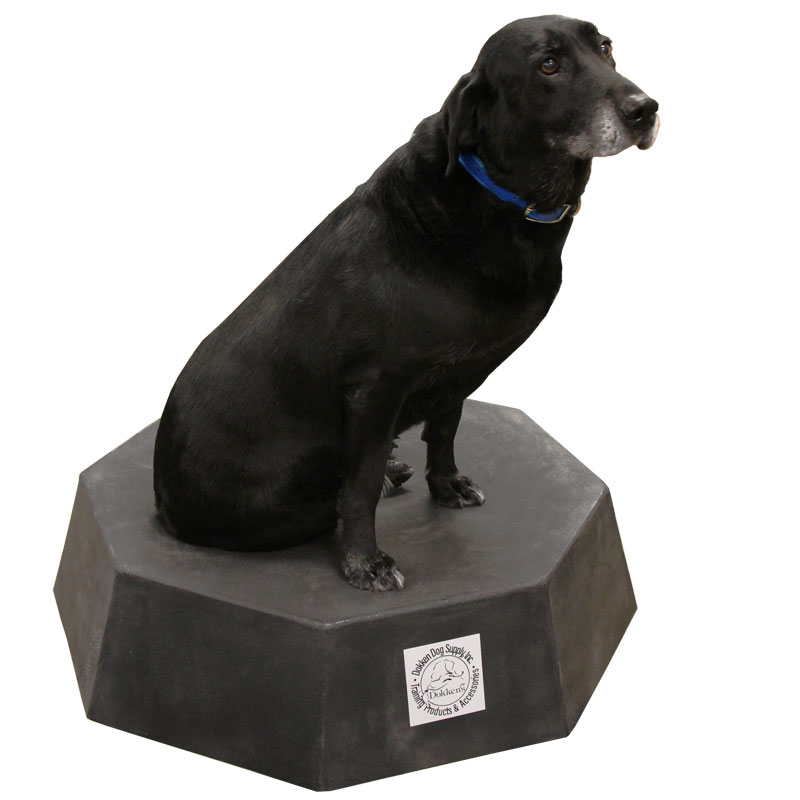 MOPIX - Tom Dokken's Deluxe Training Platforms Dog on Platform.