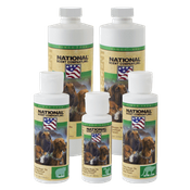 Dog Training, Trailing, and Breaking Scents.