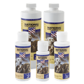 Dog Training, Trailing, and Breaking Scents.