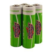 Garmin / Tri-Tronics Replacement Batteries.