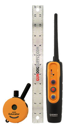 What are the differences in transmitter (remote) sizes?.