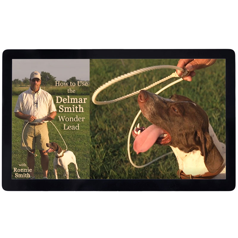 MOPIX - Wonder Lead Training Video.