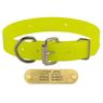 PINK 1 in. Day Glow D-End Collar. $6.99.