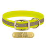 ORANGE 1 in. SunGlo Reflective Standard Collar. $15.99.