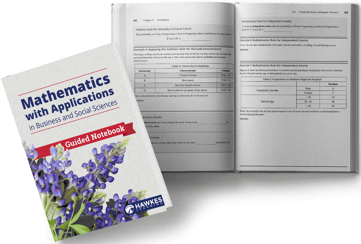 Mathematics with Applications in Business and Social Sciences 1st ...