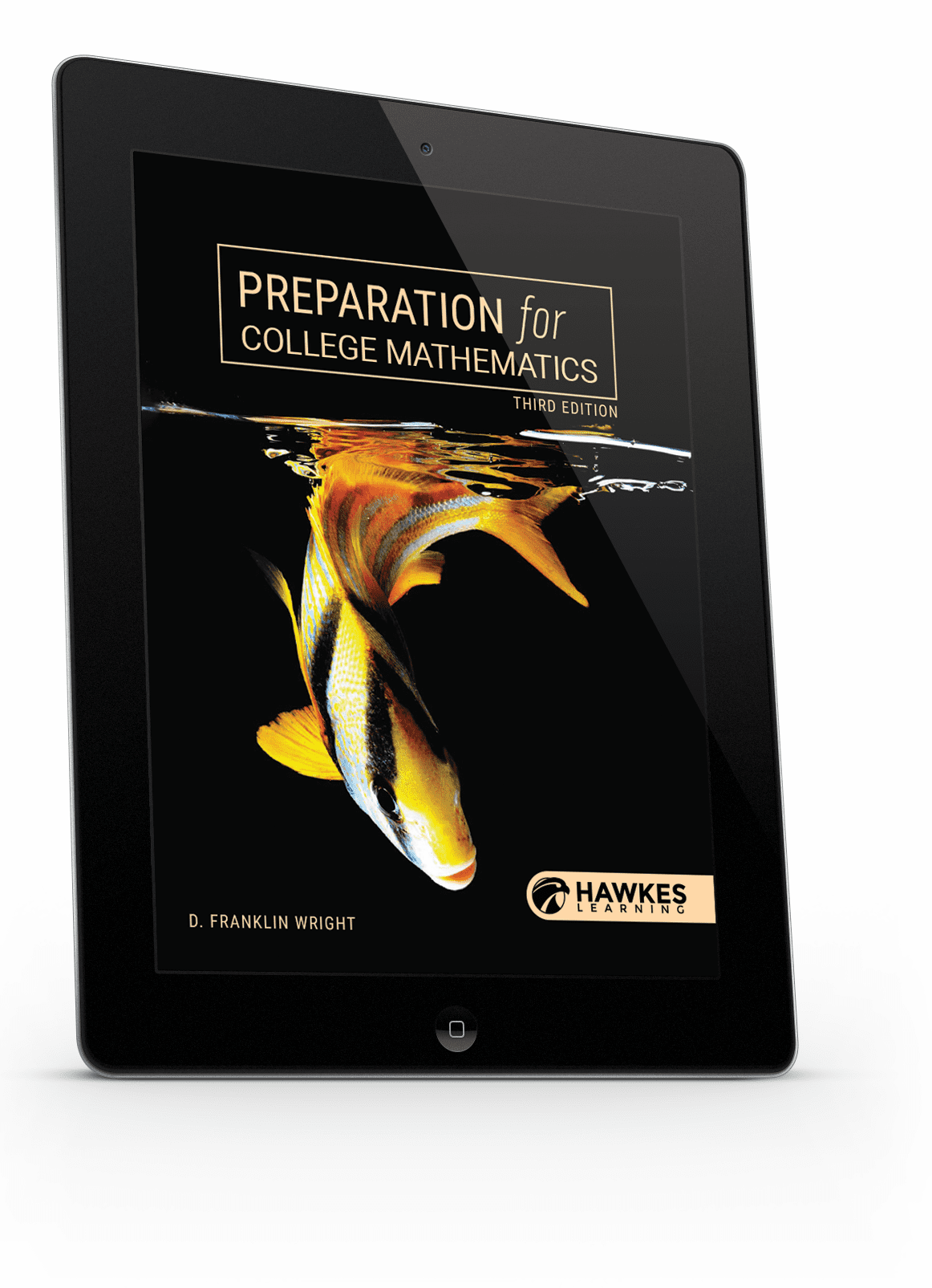 Preparation for College Mathematics, 3rd Edition