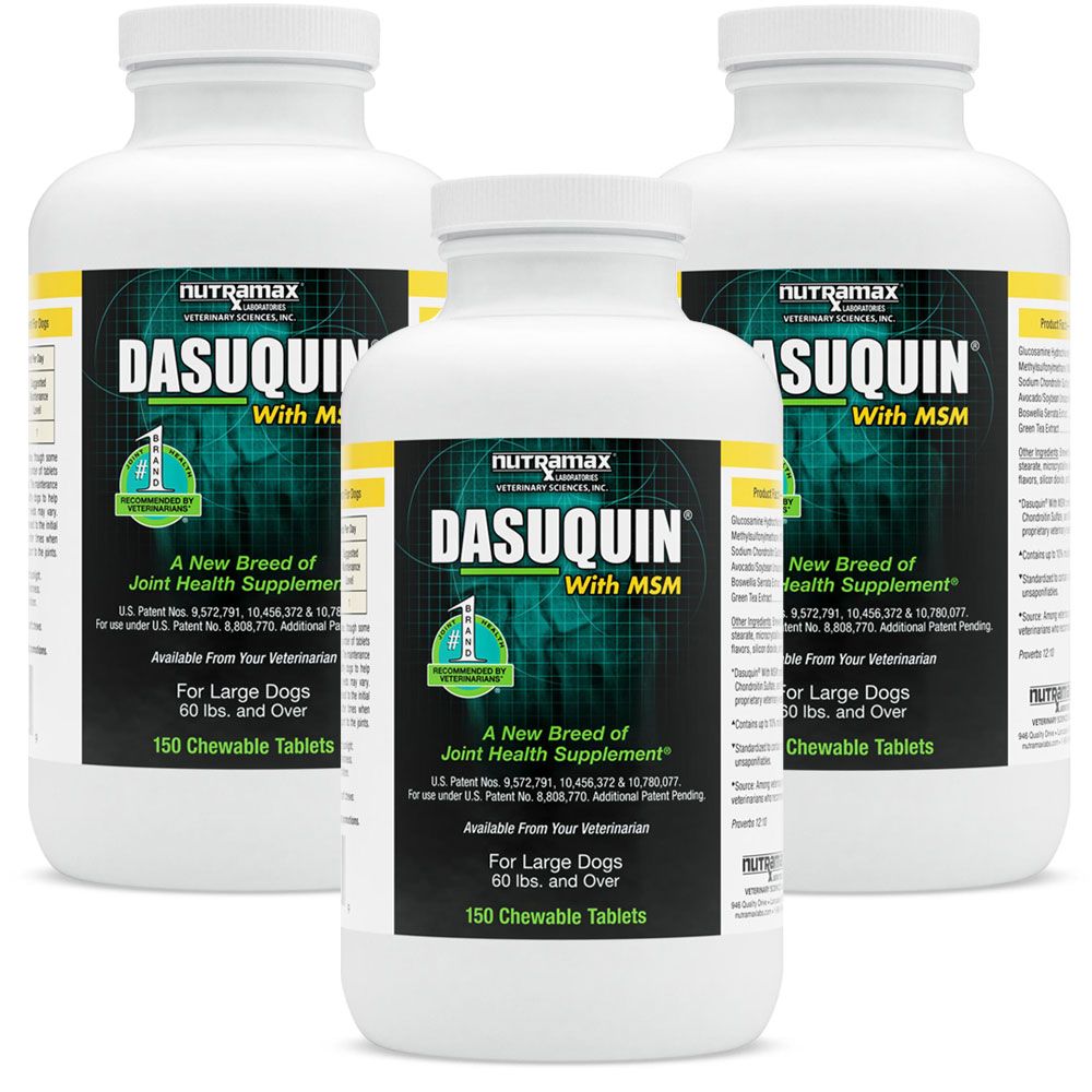 What Are The Ingredients In Dasuquin For Dogs