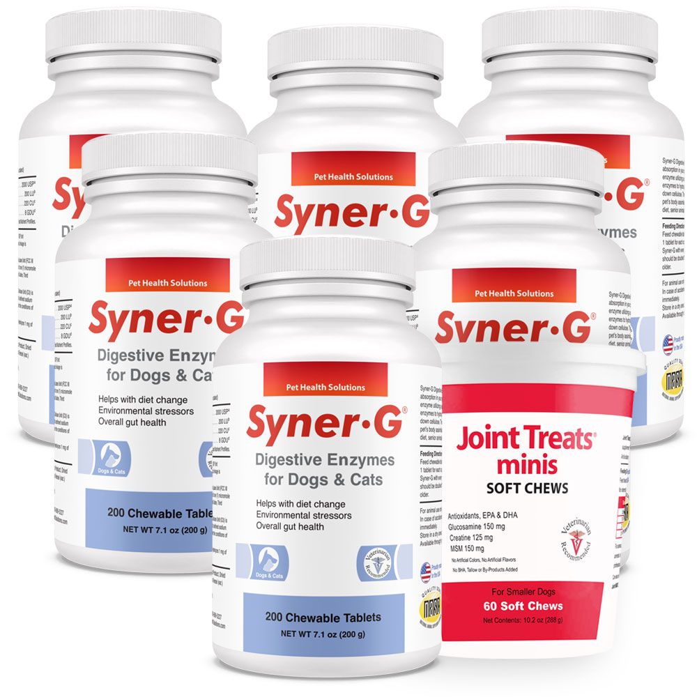 6-PACK Syner-G Digestive Enzymes (1,200 Tablets) + FREE Joint Treats ...