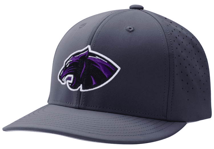 Champro HC1 Perforated Baseball Cap | Dri-Gear Lite Hat | Flex-Fit Solid