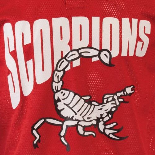 Champro Stock / Custom Screen Printed Logos | Up to 3 Colors