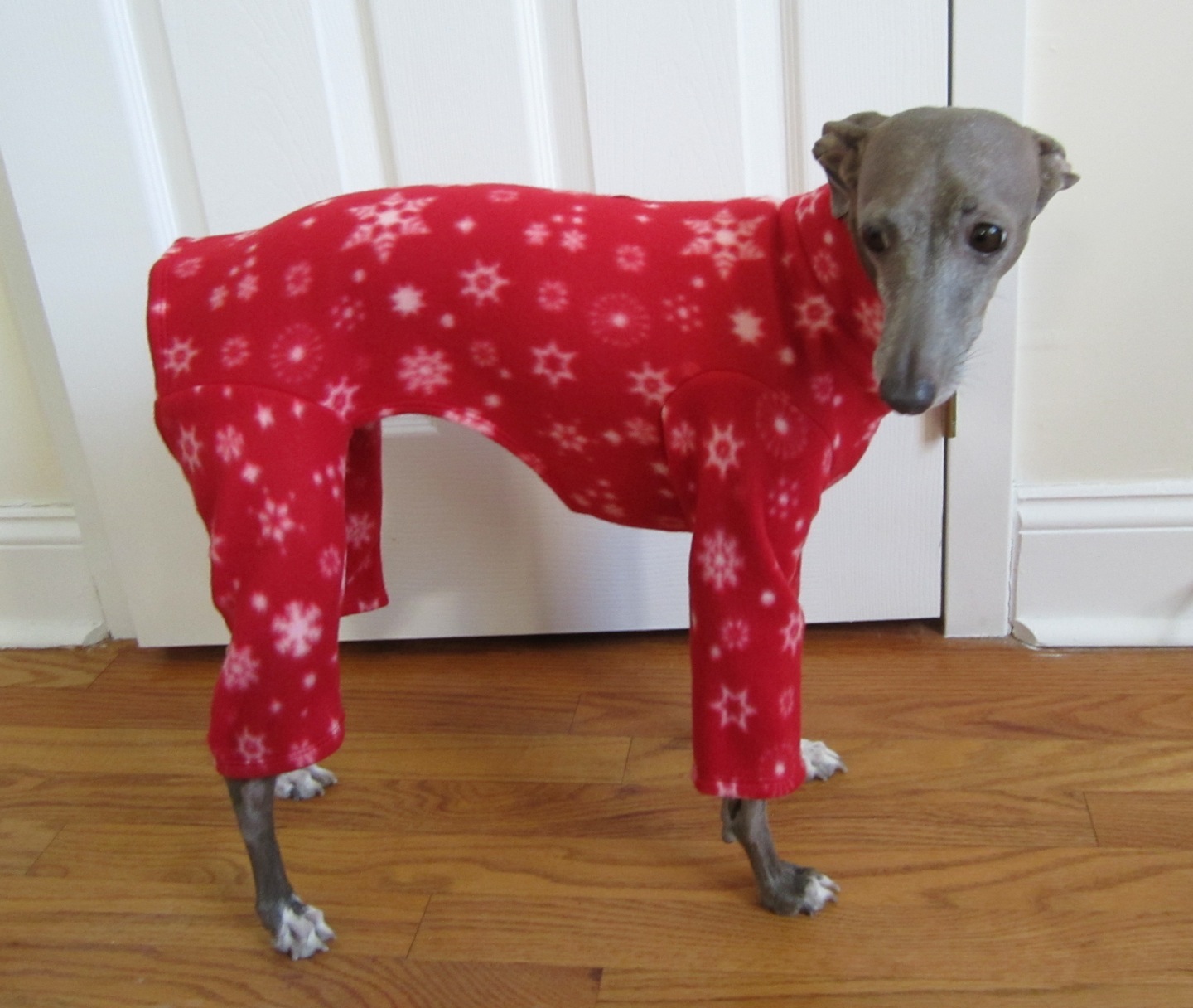 Italian Greyhound Indoor/Outdoor Bodysuit- Red Snowflakes