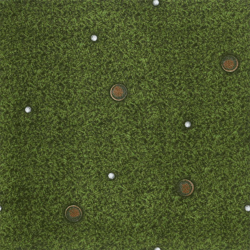 Hole In One Golf Carpet