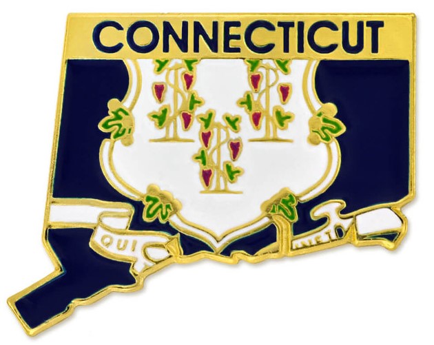 Connecticut State map shaped pin, map pin with flag design, hat pin ...