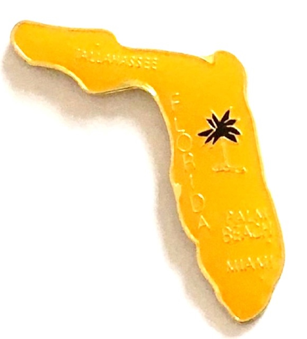 Florida Map Lapel Pin - Florida