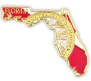 Florida State map shaped pin, map pin with flag design, hat pin, lapel ...
