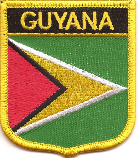 High Quality 2.5 x 2.5 Inch Shield Guyana Flag Embroidered Cloth Sew On Iron On Cheap Guyana ...