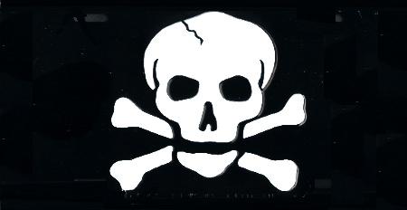 Jolly Roger License Plate - Confederate & Novelty License Plates