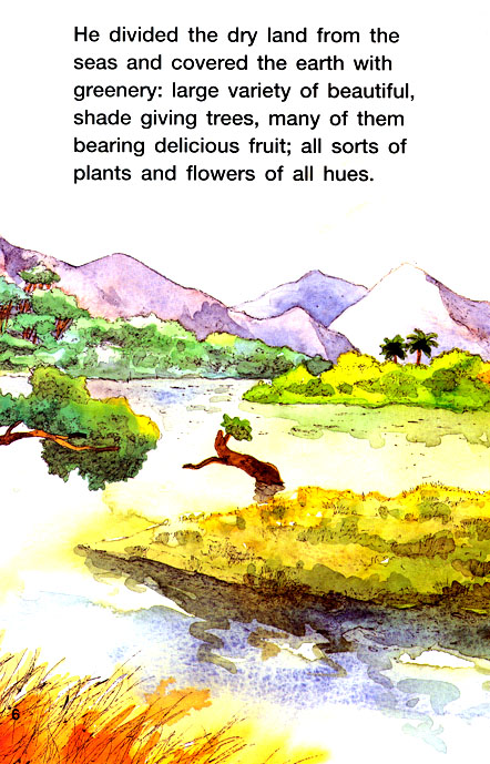 Allah Created the Universe : Timeless Quran Stories Series (Saniyasnain ...