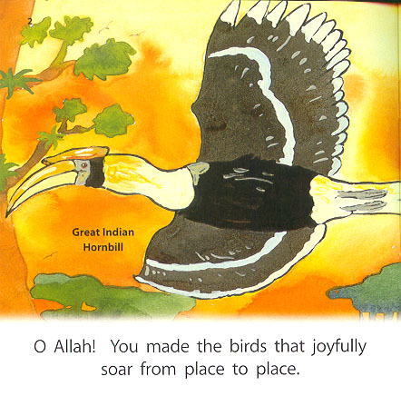 Allah Made Them All : Birds