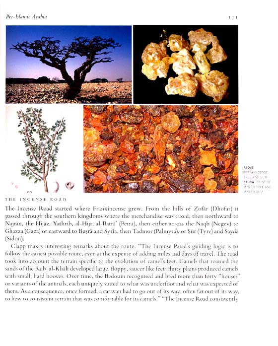 Ancient Prophets of Arabia (Dr. Mostafa Badawi)