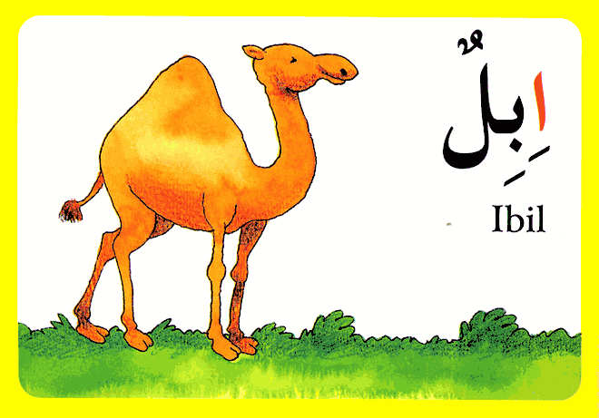 Arabic Alphabet Flash Cards (Goodword)