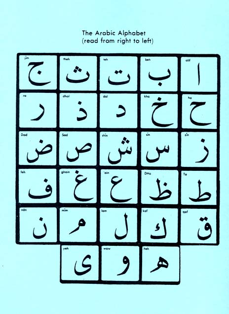 Arabic Phonology and Script (Salman H. al-Ani, Jacob Y. Shammas)