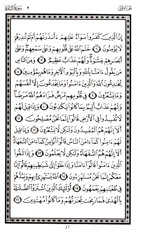 El Coran Sagrado Spanish and Arabic : Blue Hardcover Spanish Quran ...