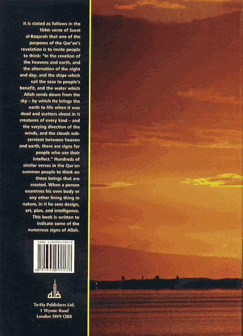 For Men of Understanding : The Signs in the Heavens and the Earth