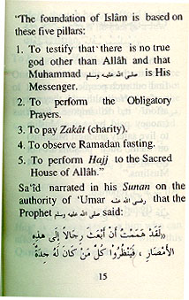 Hajj, Umrah And Ziyarah (in the Light of the Qur'an & Sunnah) POCKET-SIZE