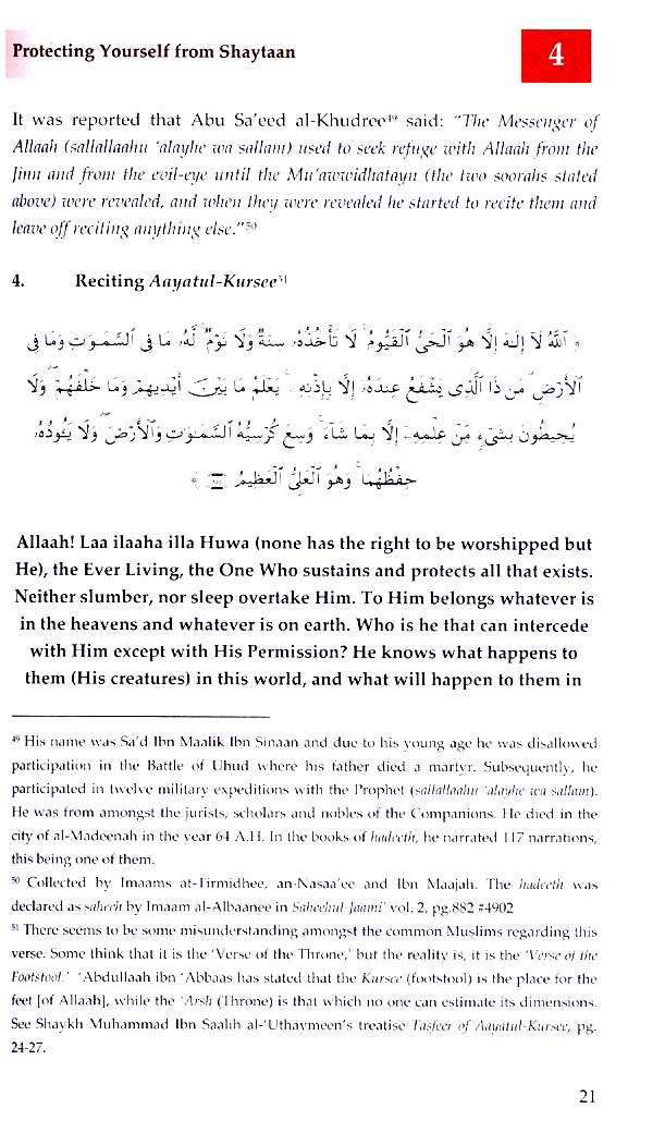 How to Protect Yourself from Shaytaan (Dawud Adib)