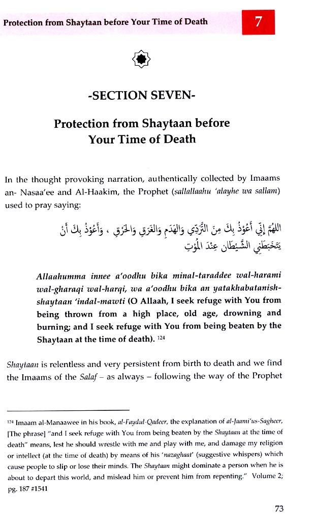 How to Protect Yourself from Shaytaan (Dawud Adib)