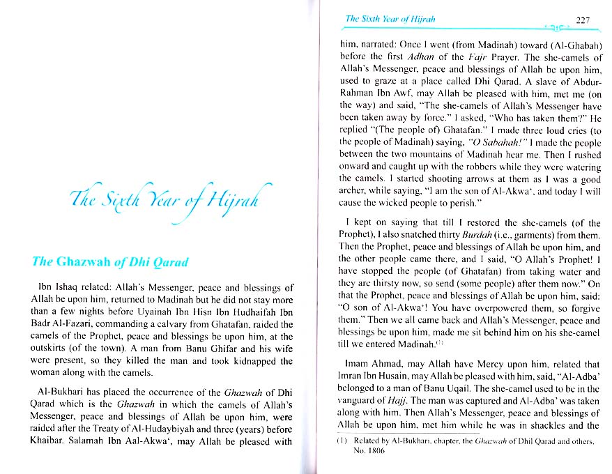 In Defence of the True Faith : Battles, Expeditions, Peace Treaties and ...