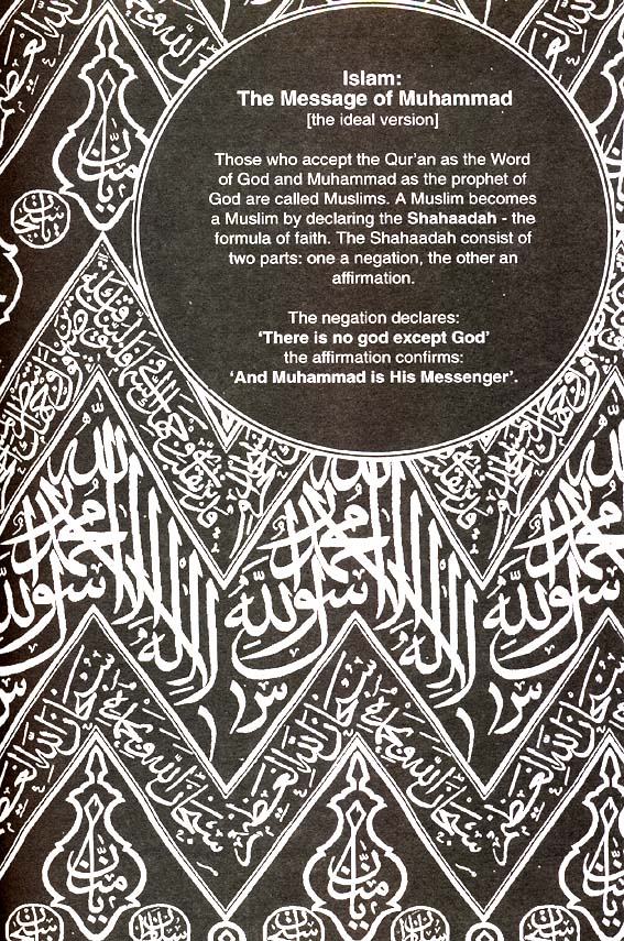 Introducing Islam : A Graphic Guide (Ziauddin Sardar and Zafar Abbas Malik)