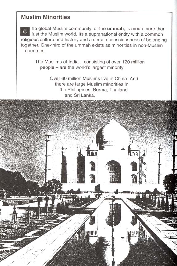 Introducing Islam : A Graphic Guide (Ziauddin Sardar and Zafar Abbas Malik)