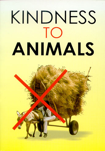Kindness to Animals