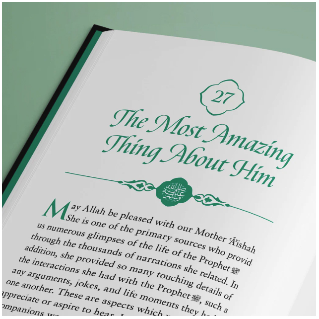 Meeting Muhammad (sws) (Omar Suleiman) (with FREE Stories of Great ...