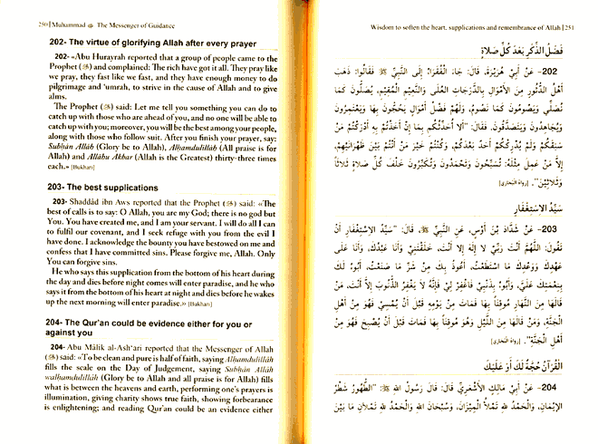 Muhammad The Messenger of Guidance: A Concise Introduction to His Life ...